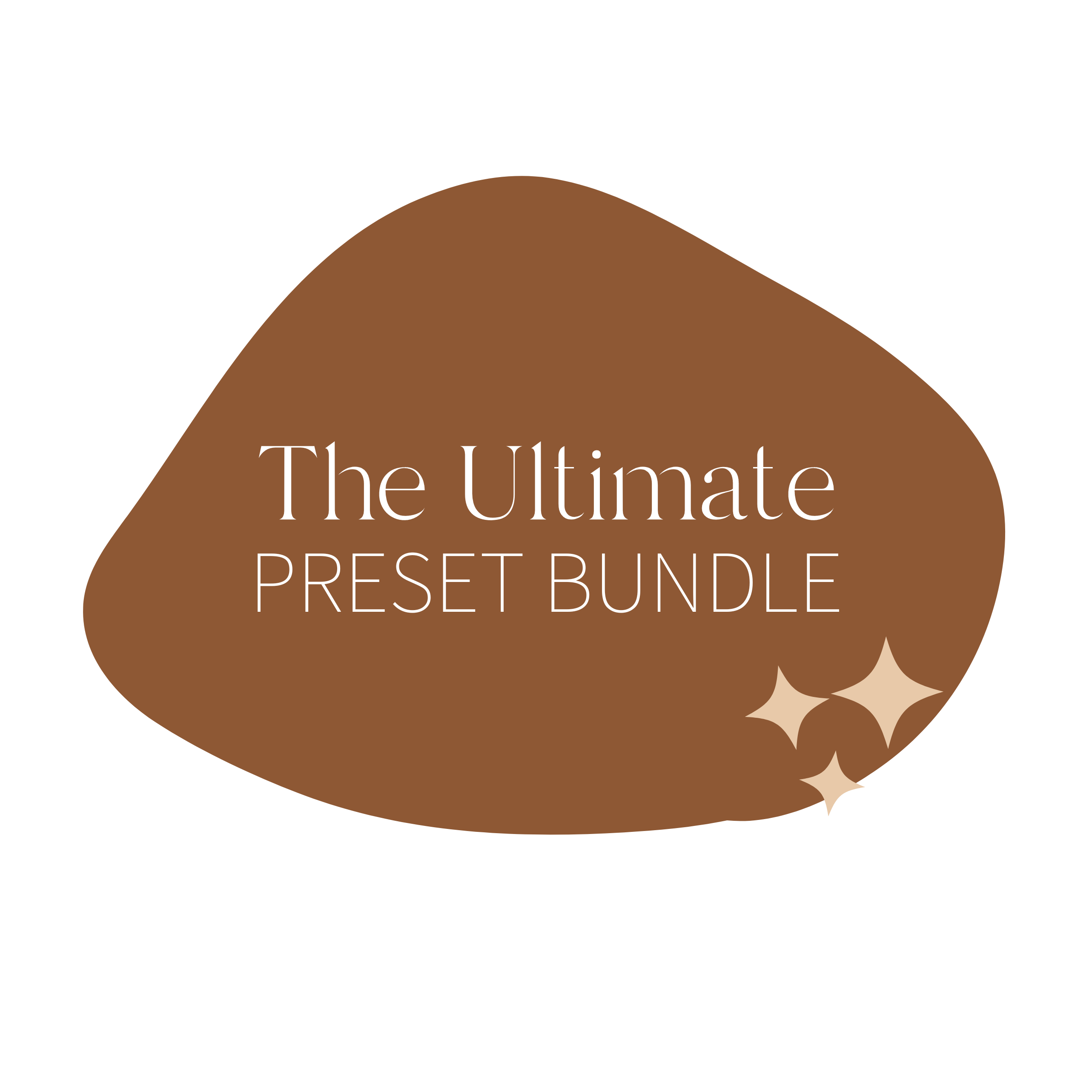 The Ultimate Preset Bundle – Cassidy Lynne Education